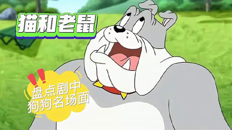猫和老鼠:盘点狗狗名场面,猫咪太可恶,狗狗做法太解气