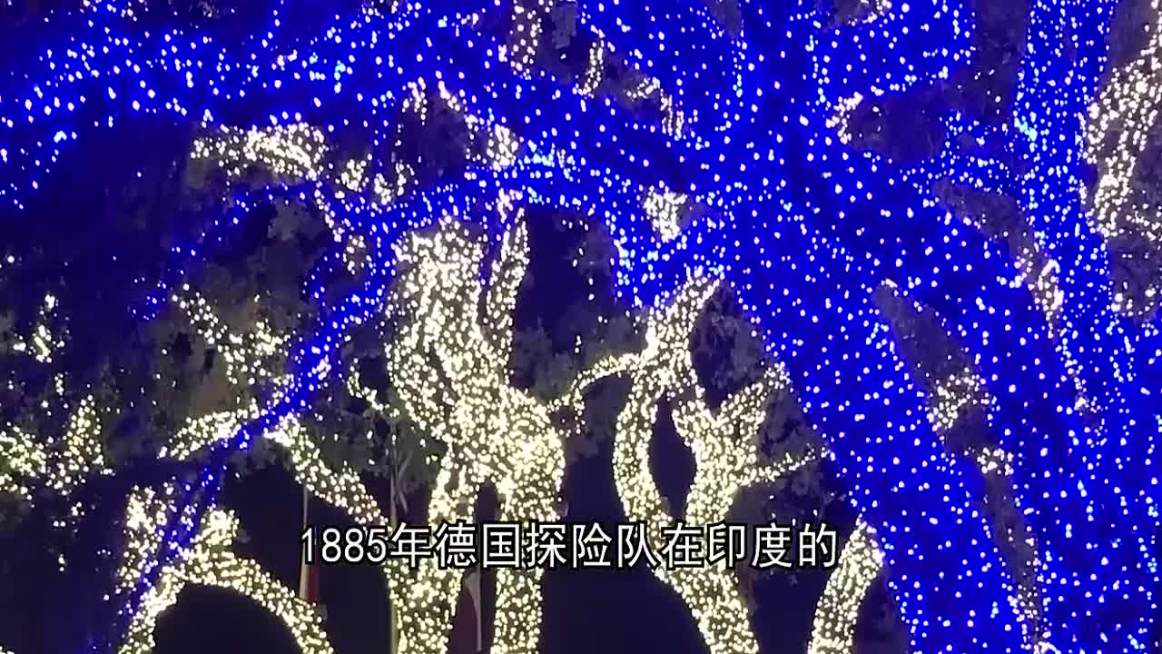 世界上最神秘恐怖的树!一棵会流血,一棵会产生电流