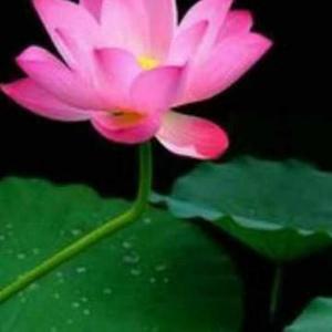 战神牛涵 