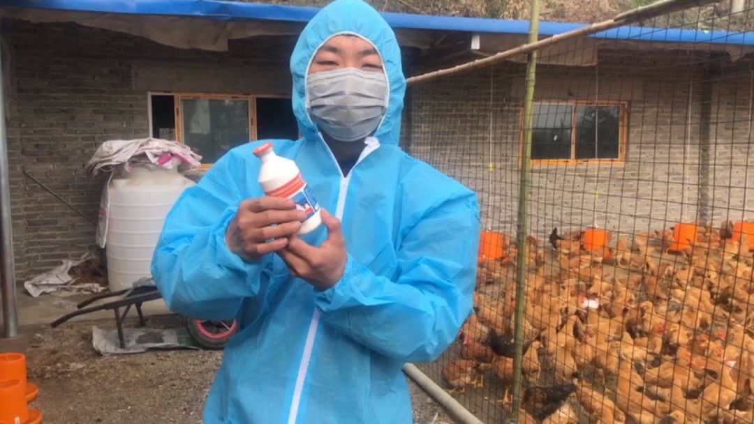 国家政策就是好,全套防护用品免费发,为了安全养鸡也要全副武装