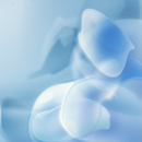 青菜味儿的饼干 