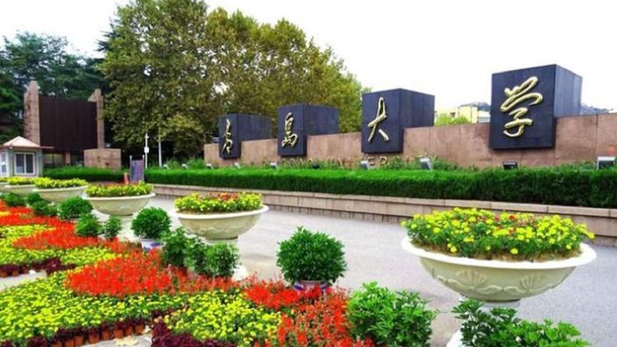 青岛大学通报一教职员工发表不当言论:取消教学资格并处分