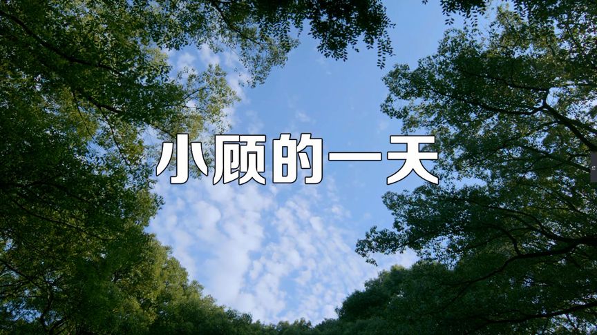 “我在基层做信访”系列一——小顾的一天