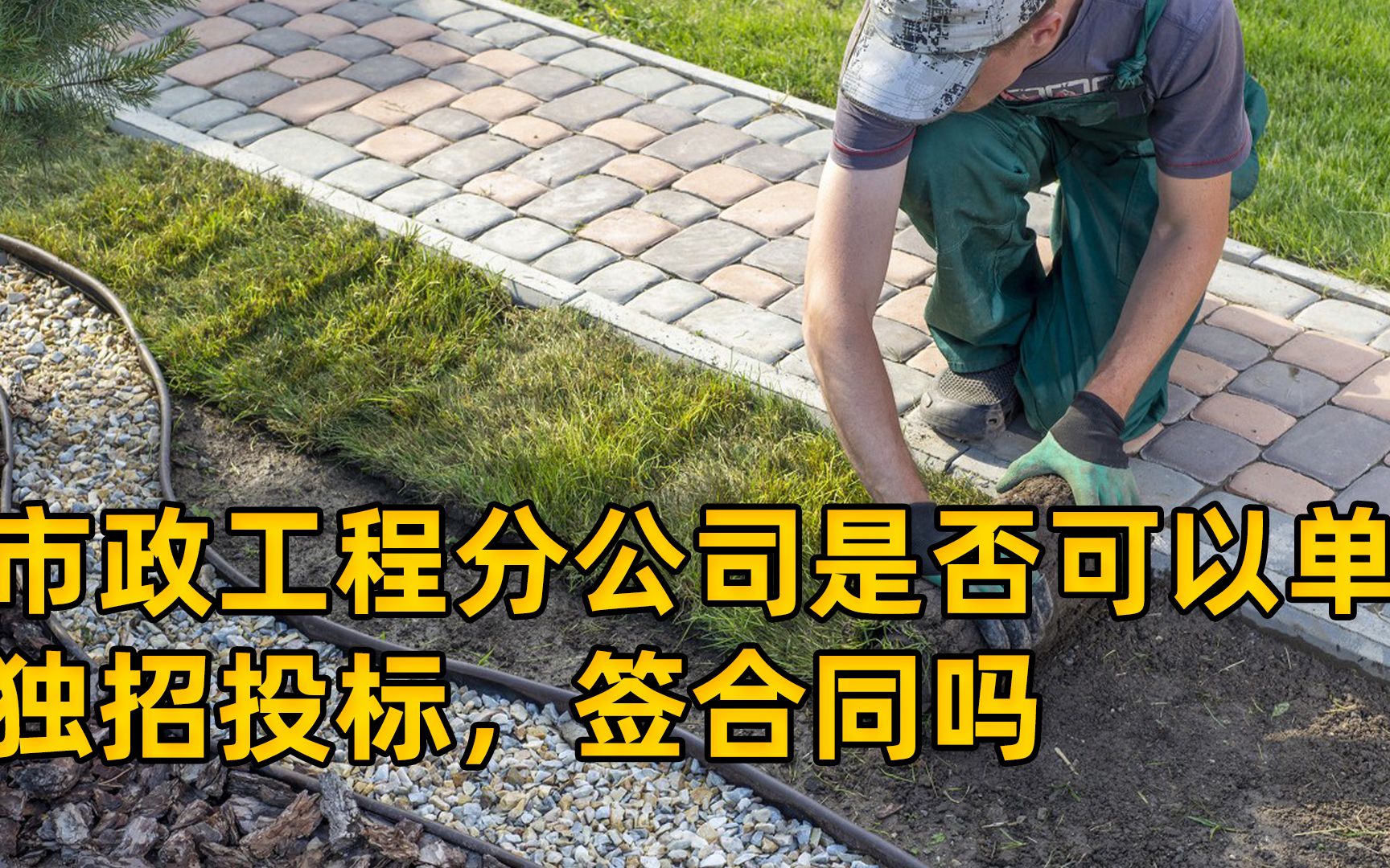 市政工程分公司是否可以单独招投标,签合同吗