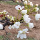 迷茫中找希望588 