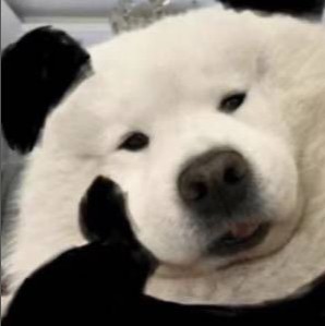 小吁玩游戏 