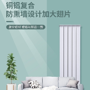 卖暖气片的刘美丽 
