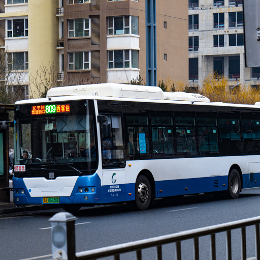 フェルディナンド 