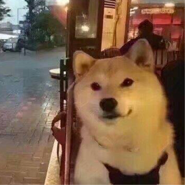 一只绿柚子 