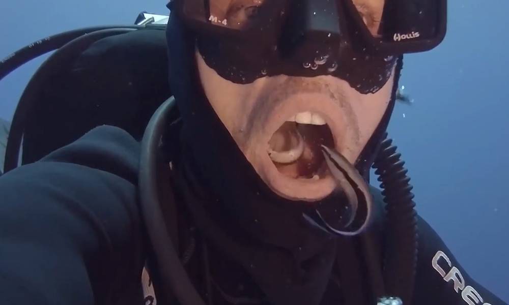 潜水员感到难受,取下呼吸管,张开嘴后突然一个东西钻了进来