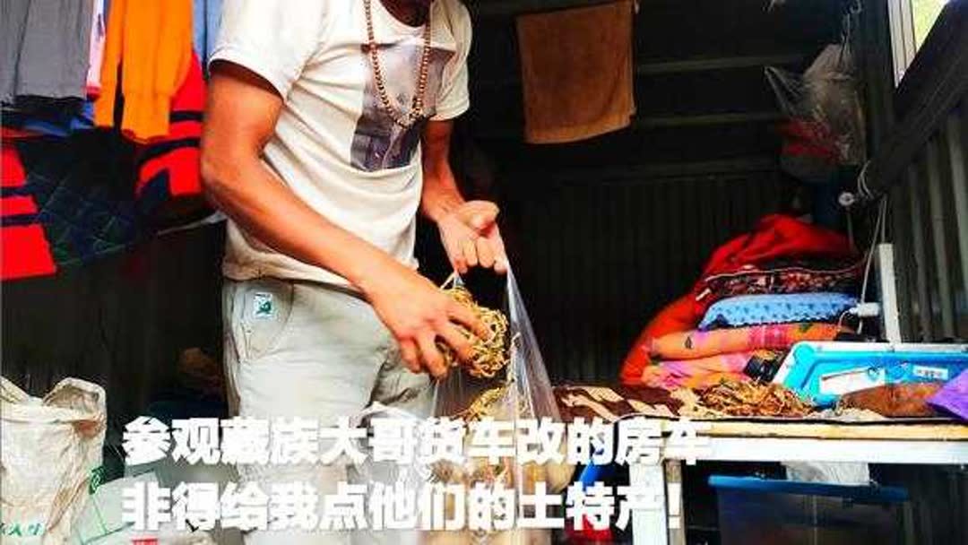 参观藏族大哥大货车改房车,吃住都在上面,太羡慕了