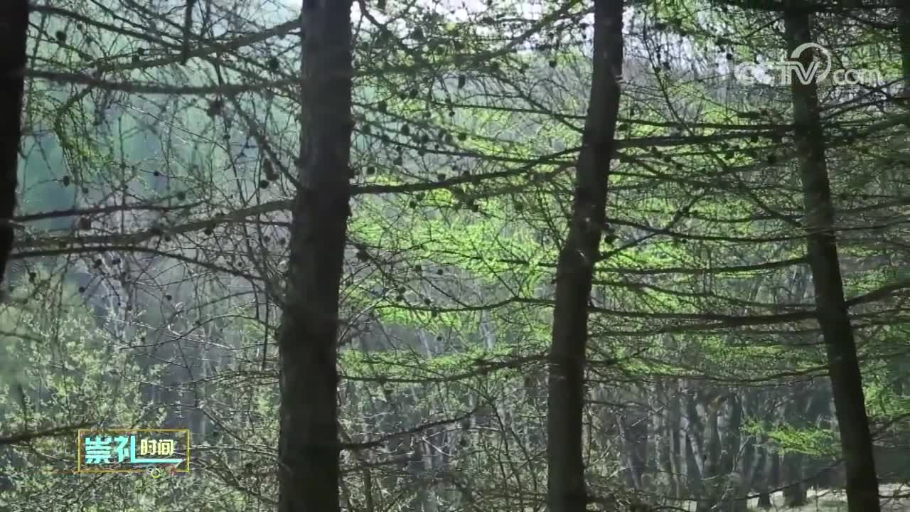 崇礼时间丨2022早知道:崇礼以建设中国雪都为目标