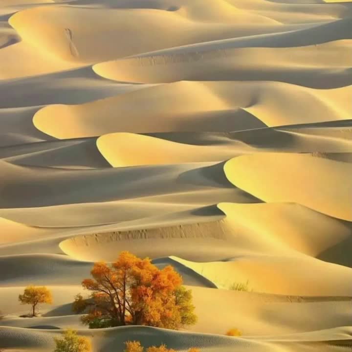 ...确定环境污染生态破坏的举证责任?董克仁律师一分钟说法千问民法典!