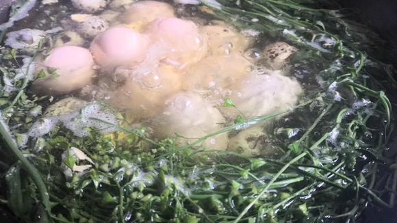 荠菜煮鸡蛋