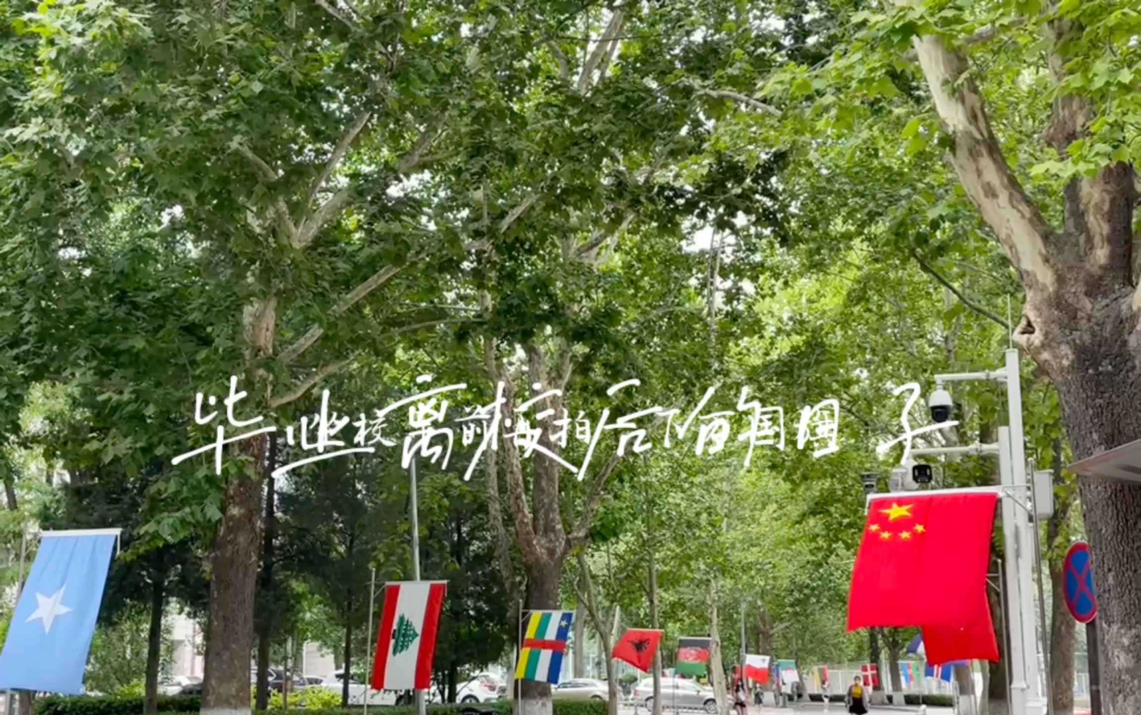 应届毕业生离校后的两周生活