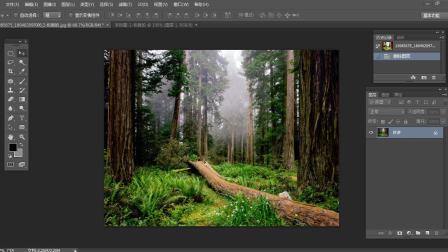 01.ps唯美森林教程(初级篇)