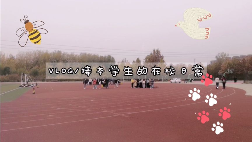 日常vlog|接本的在校生好可怜 在物理实验室学习