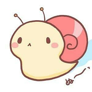 毛毛兔与长毛兔 