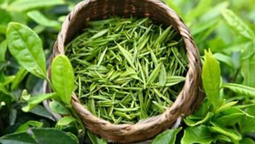 绿茶能延缓衰老、防癌,这几类人却没福气享受它,看完要淡定!