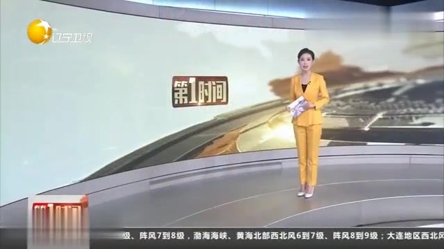 法网恢恢:网络主播雪梨和林珊珊偷逃税被处罚