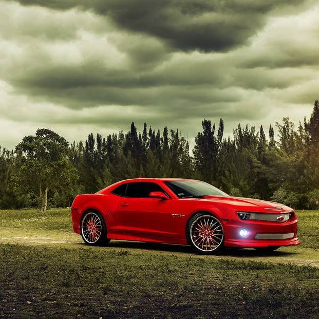 车娱爱好者娟子报 