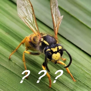 我要拆迷你世界 