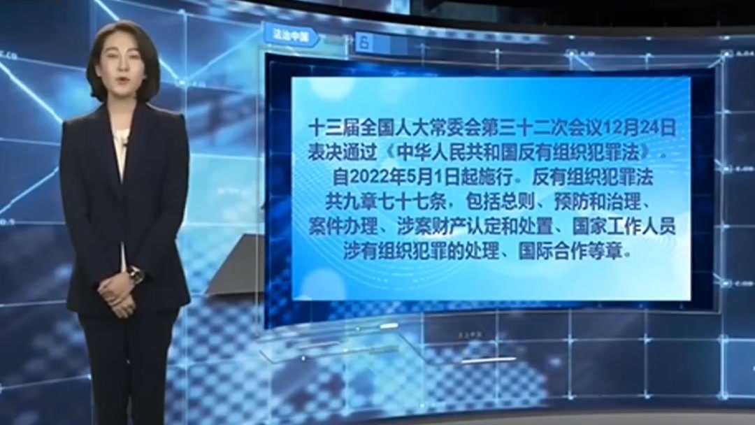 成成说法:反有组织犯罪法,希望对您的生活有所帮助
