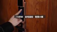 智能门锁联动演示