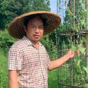 邓教授谈农业 