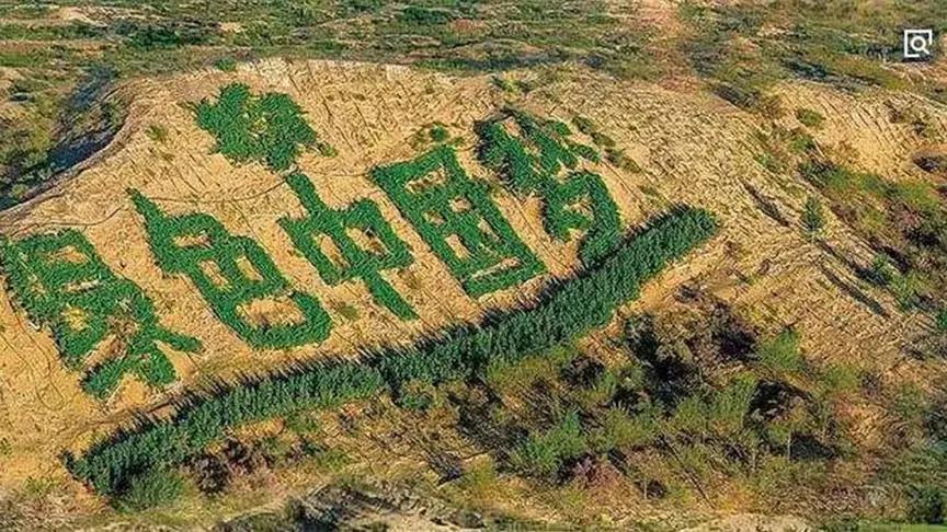 花费30年让沙漠变绿洲,却迎来一群“捣乱者”,治沙人:白费心血