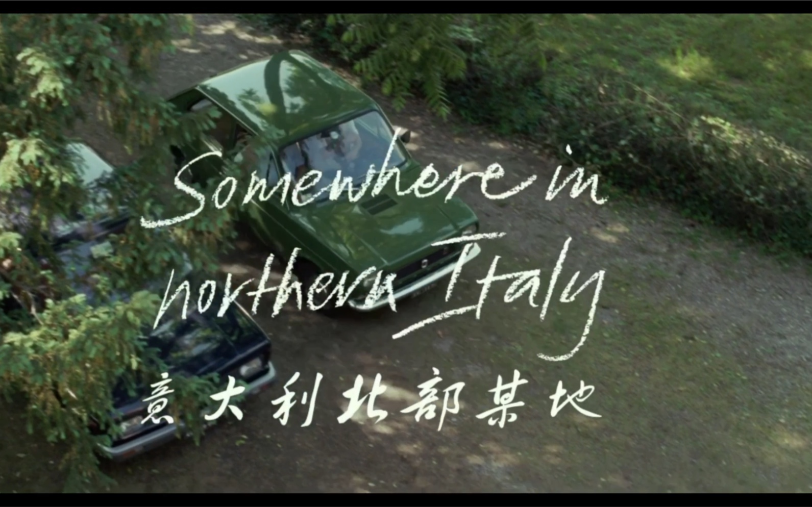 《请以你的名字呼唤我》唯美片段