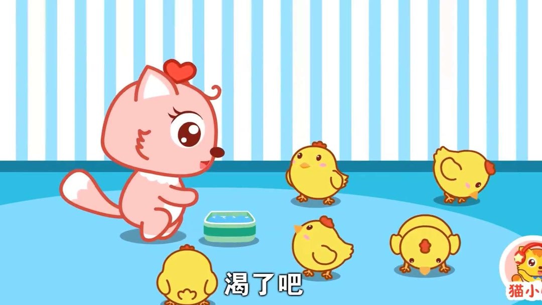 猫小帅故事:小鸡小鸡咕咕咕,啄完小米又喝水!