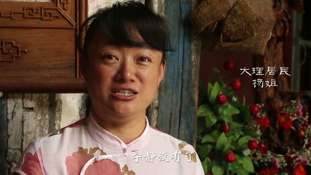 《美丽公约》文明旅游公益活动宣传片