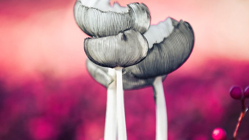轻音乐:人生的价值,并不是用时间,而是用深度去衡量的
