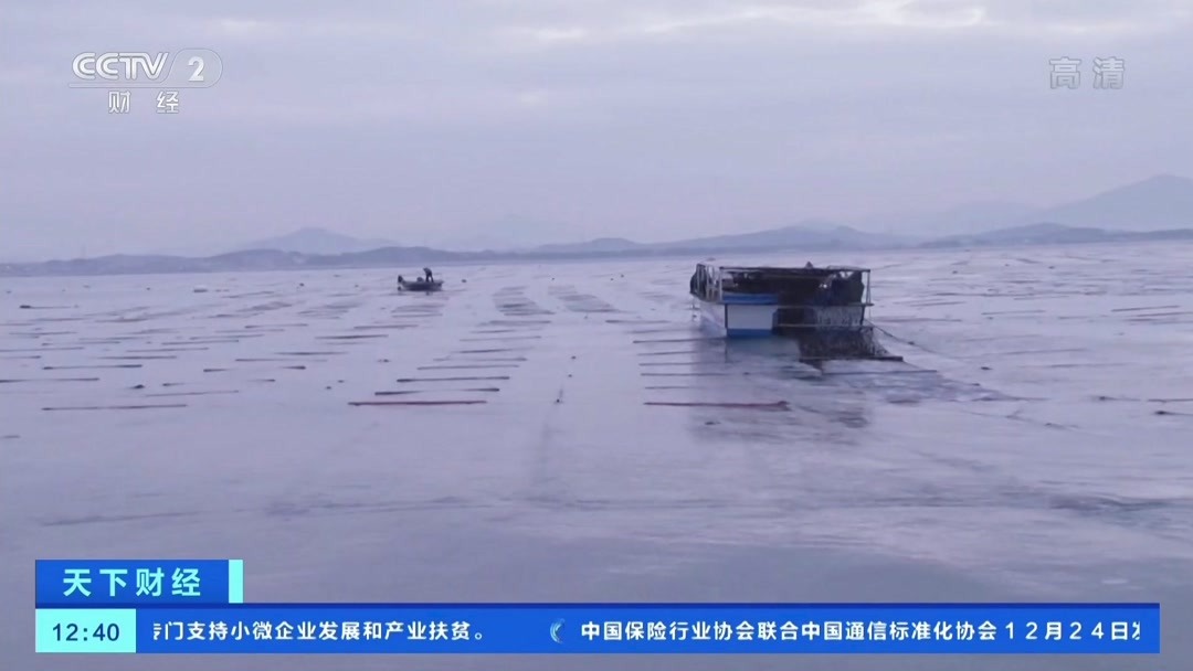 收获正当季 韩国紫菜量减价涨