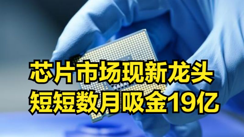 芯片市场现新龙头,默默无闻的半导体代工厂,短短数月吸金19亿