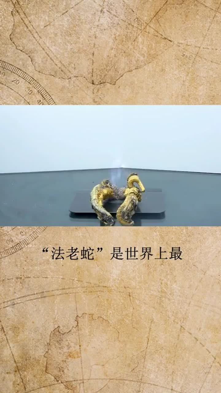 世界上最诡异的事件,你见过吗?#全球诡异时代