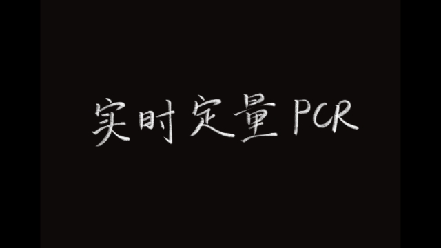 实时定量PCR