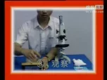 显微镜的使用_01