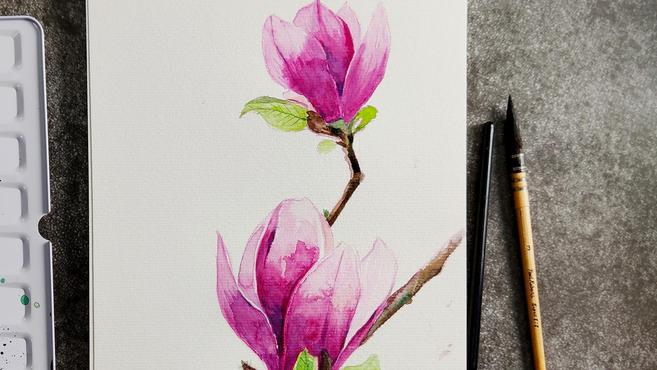 水彩绘画视频教程|水彩