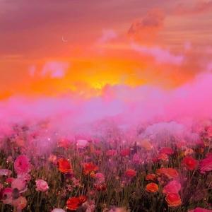 JacindaStar看星星 