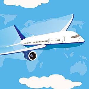 模拟飞行的小豪机长 