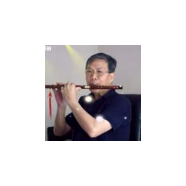 秦淮皓首翁 