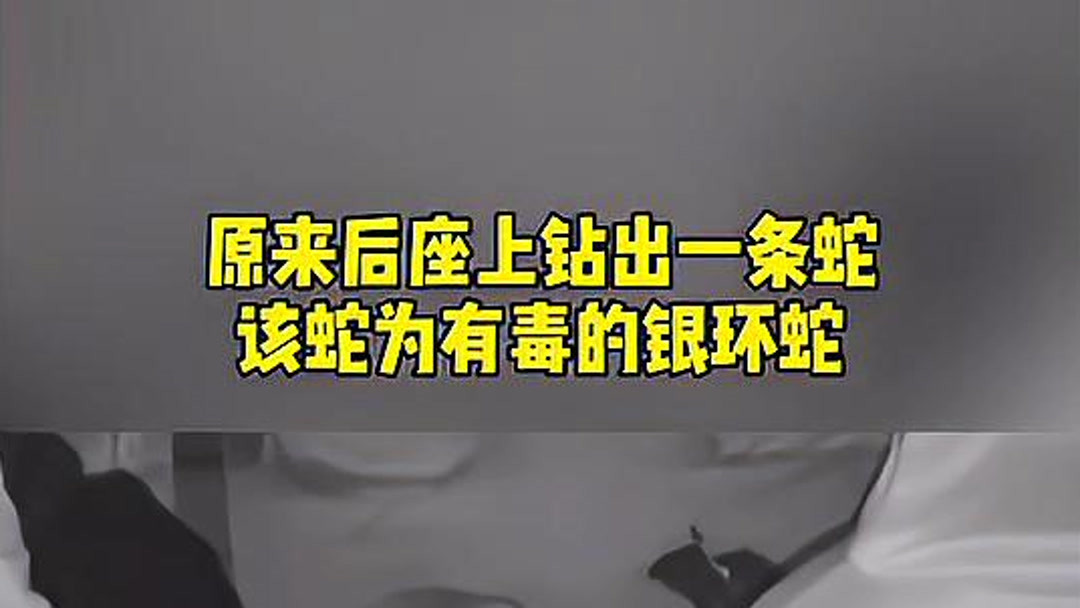 出租车行驶时女乘客竟连滚带爬跳车,的哥一看后座也吓惨了