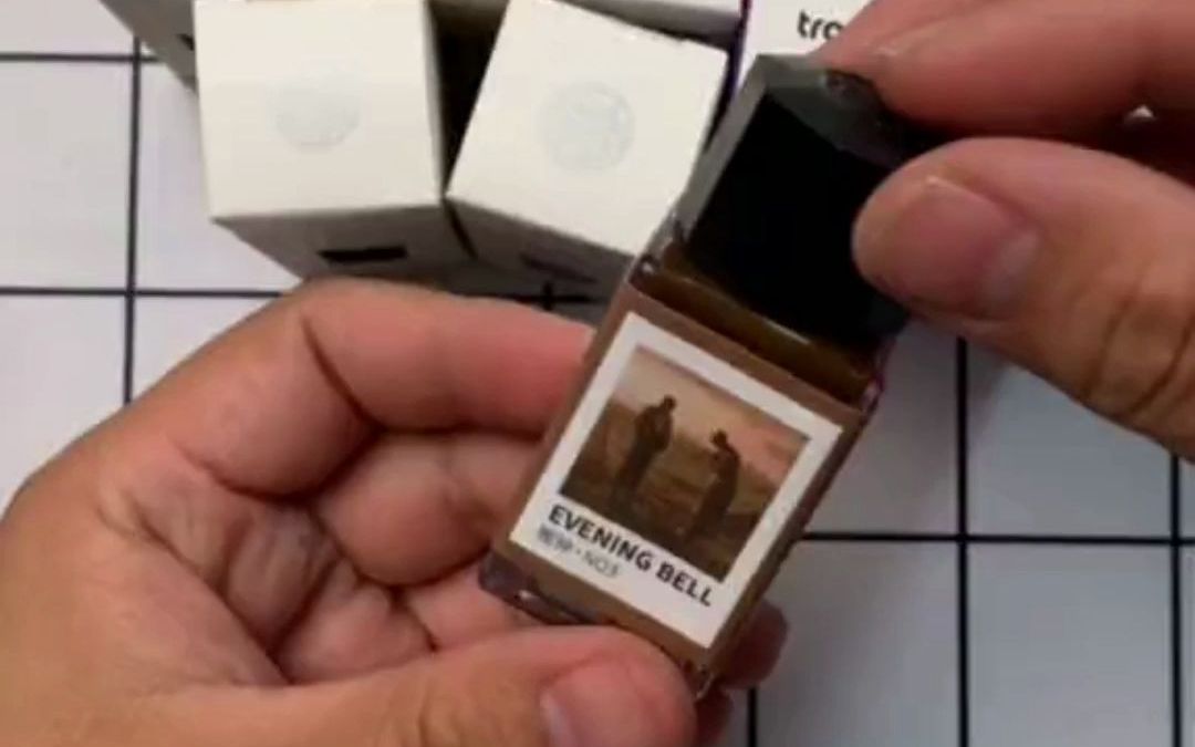 钢笔淡彩墨水,采墨。选什么色号?我全要