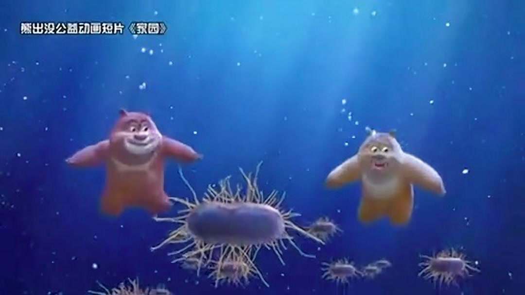 保护环境,从我做起