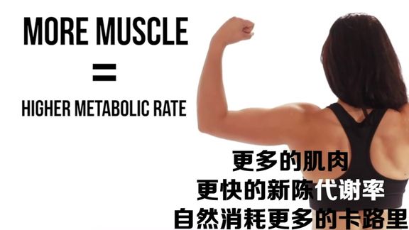 为什么你在减肥却瘦不下来