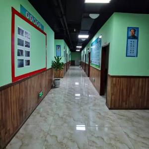 优师教育马老师 