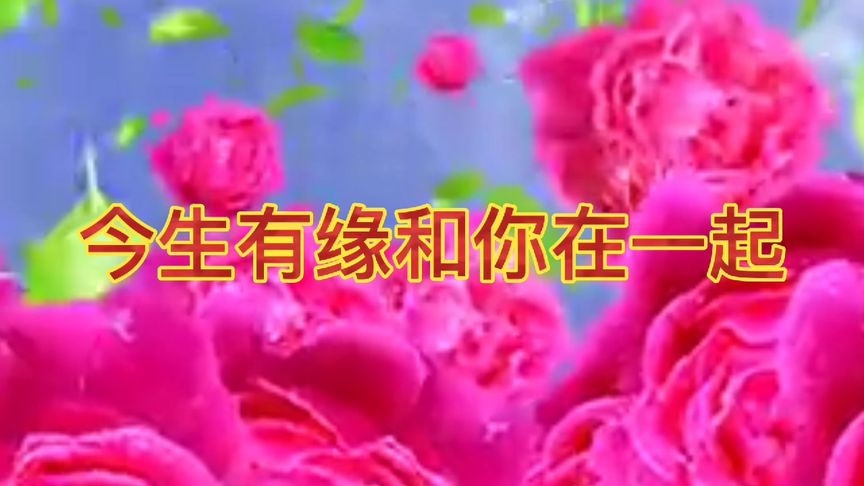 情感的歌曲《今生有缘和你在一起》