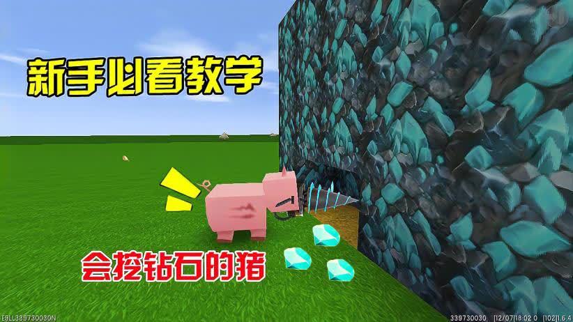 迷你世界:新手不知道冷知识,猪还可以挖矿,再也不怕没钻石了
